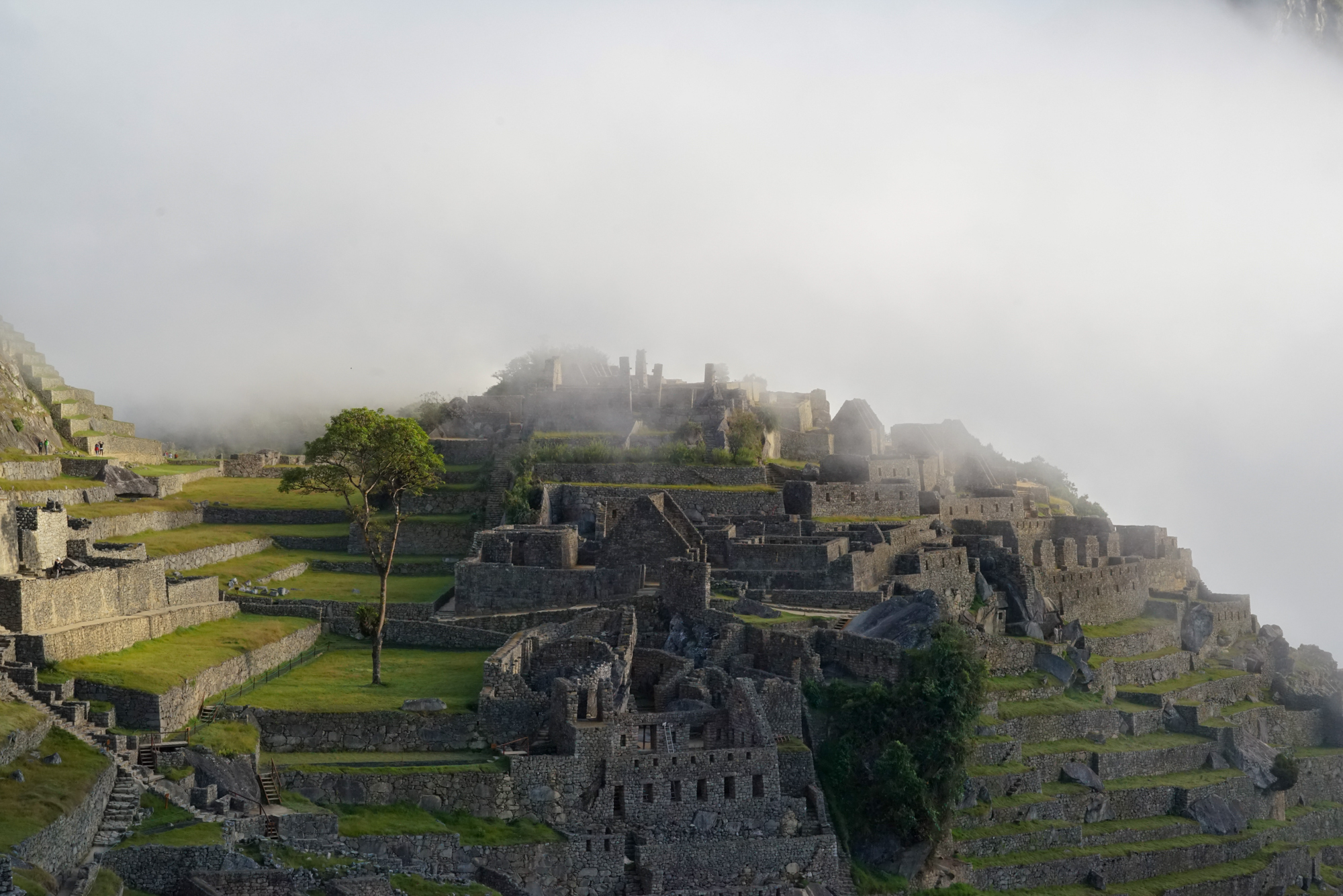 The Lost City Movie Review – The Echo